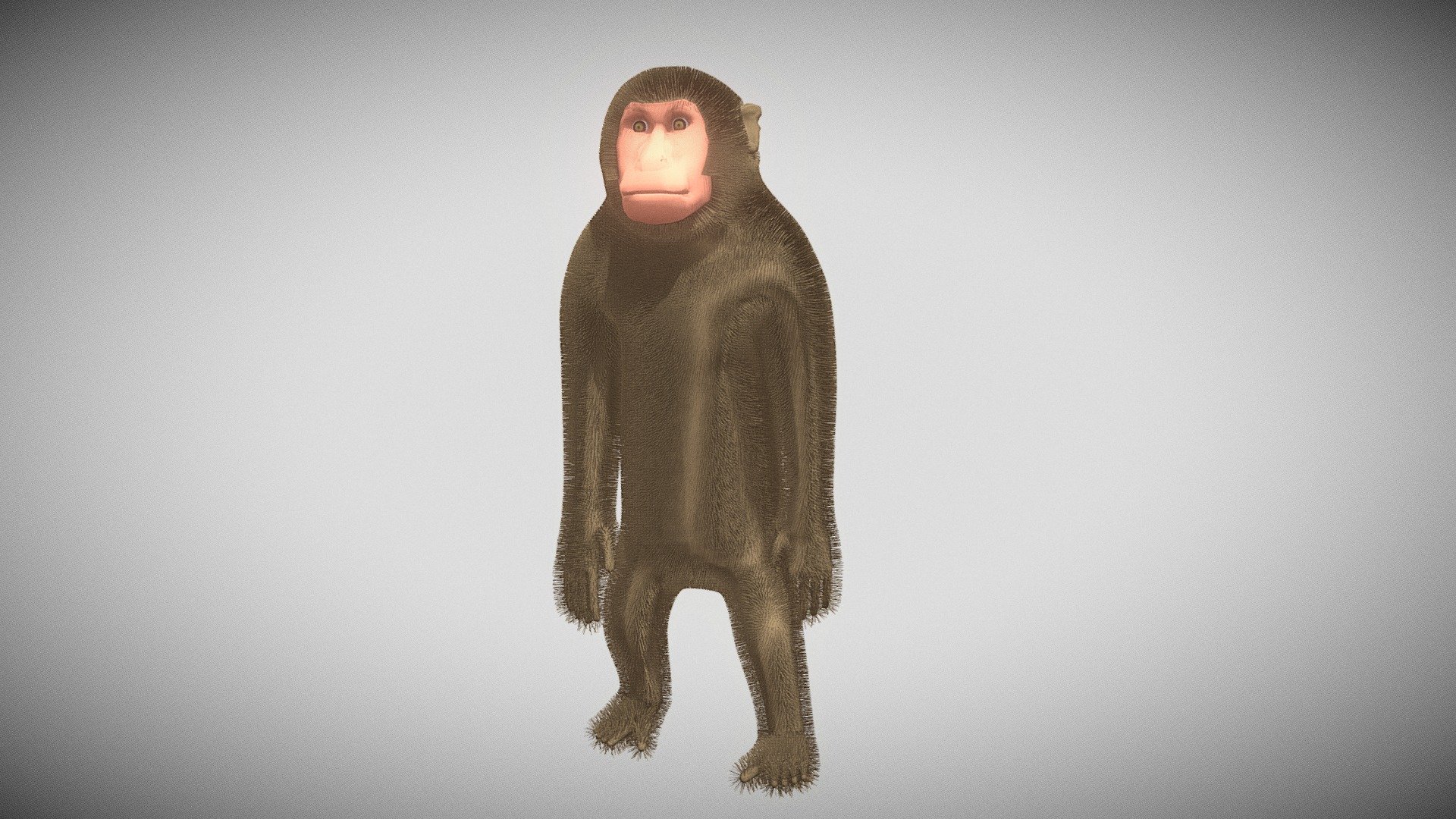 saru - 3D model by 朝だ！ (@kaeg7gkk3b) [39b6508] - Sketchfab