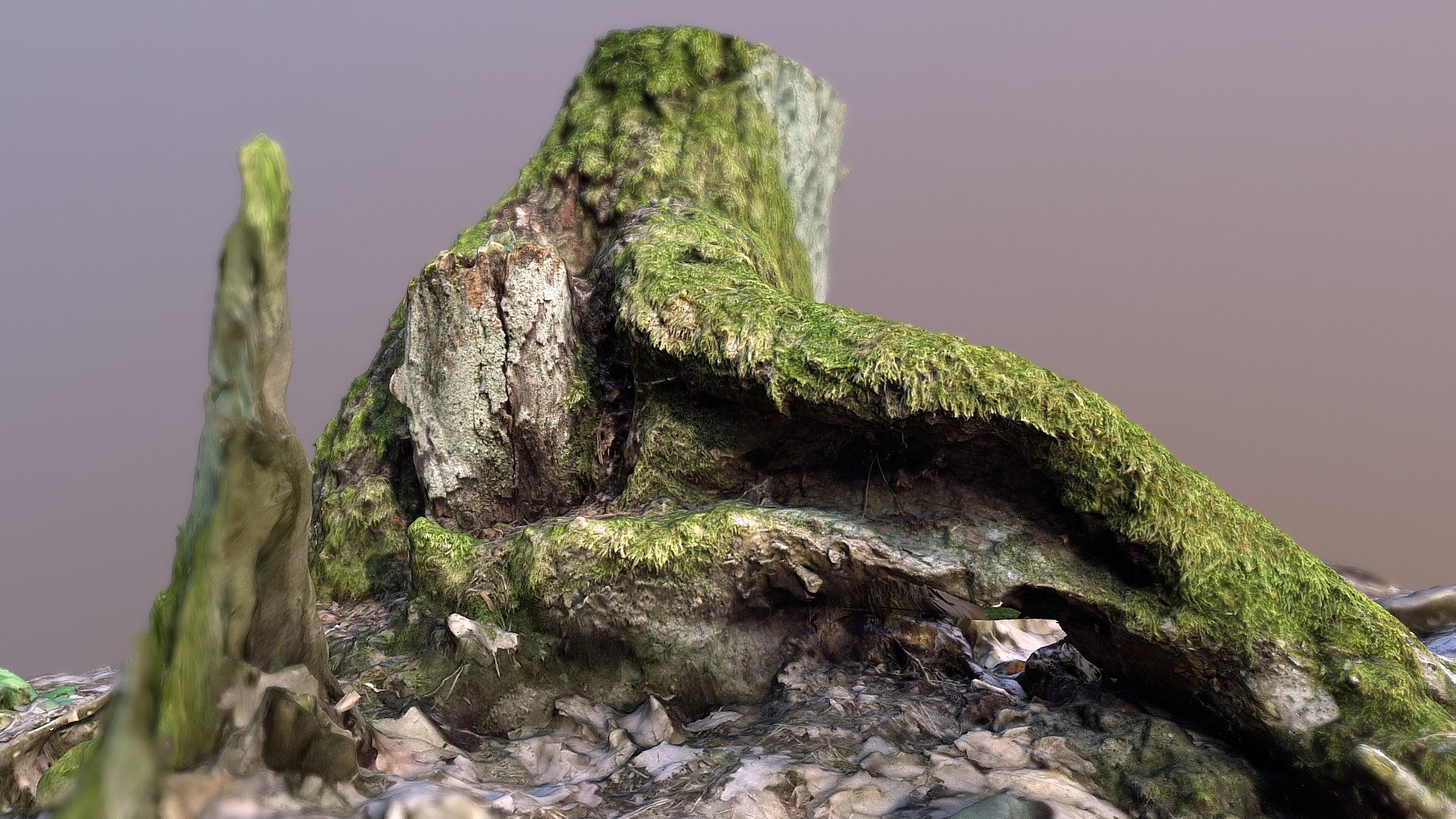 Tree with deformed roots - 3D model by Tomáš Lapeš (@wartlp) [39b69d8 ...