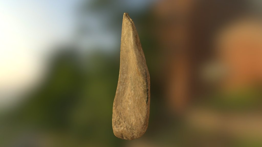 Bone Tool (VCU_3D_122) - 3D model by Virtual Curation Lab ...
