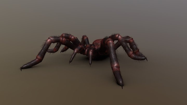 Tarantula 3D models - Sketchfab