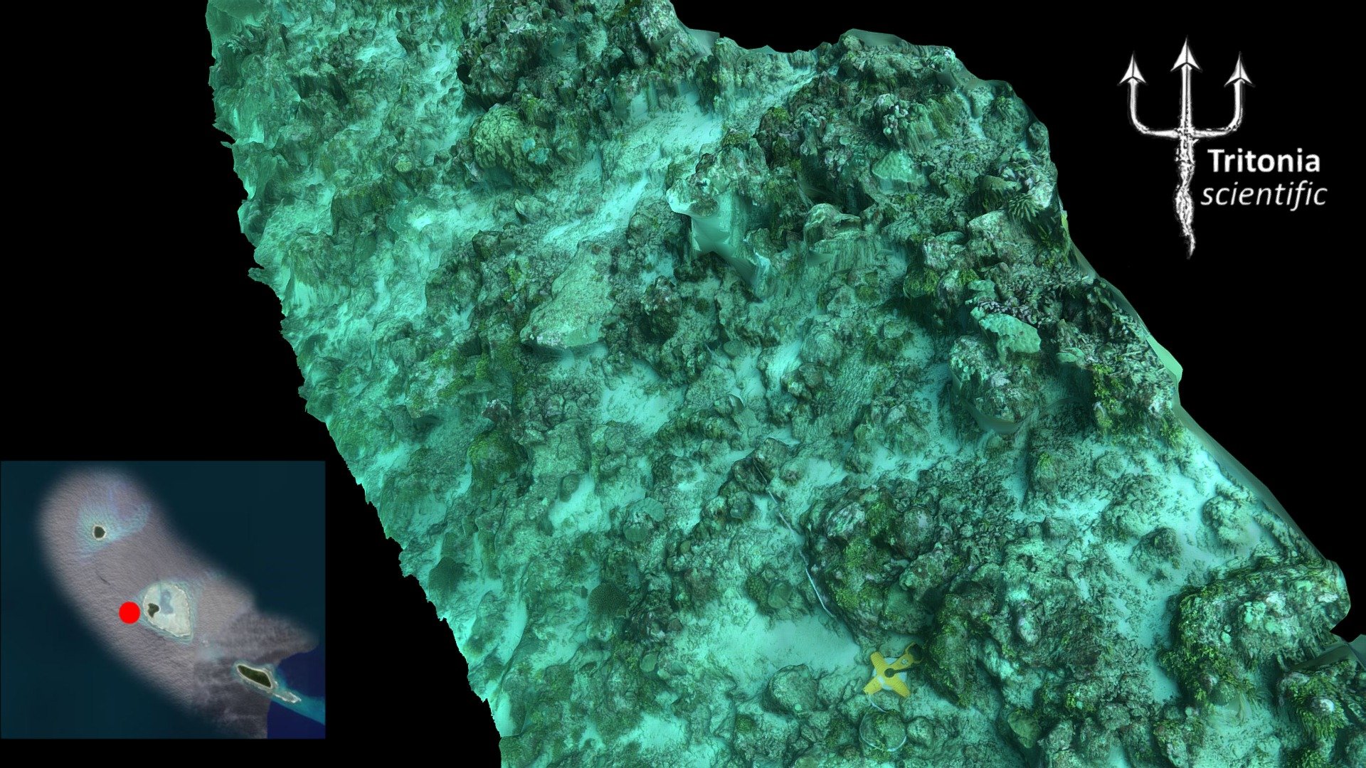 Middle Brother, Great Chagos Bank, 17.5m - 3D model by Tritonia ...