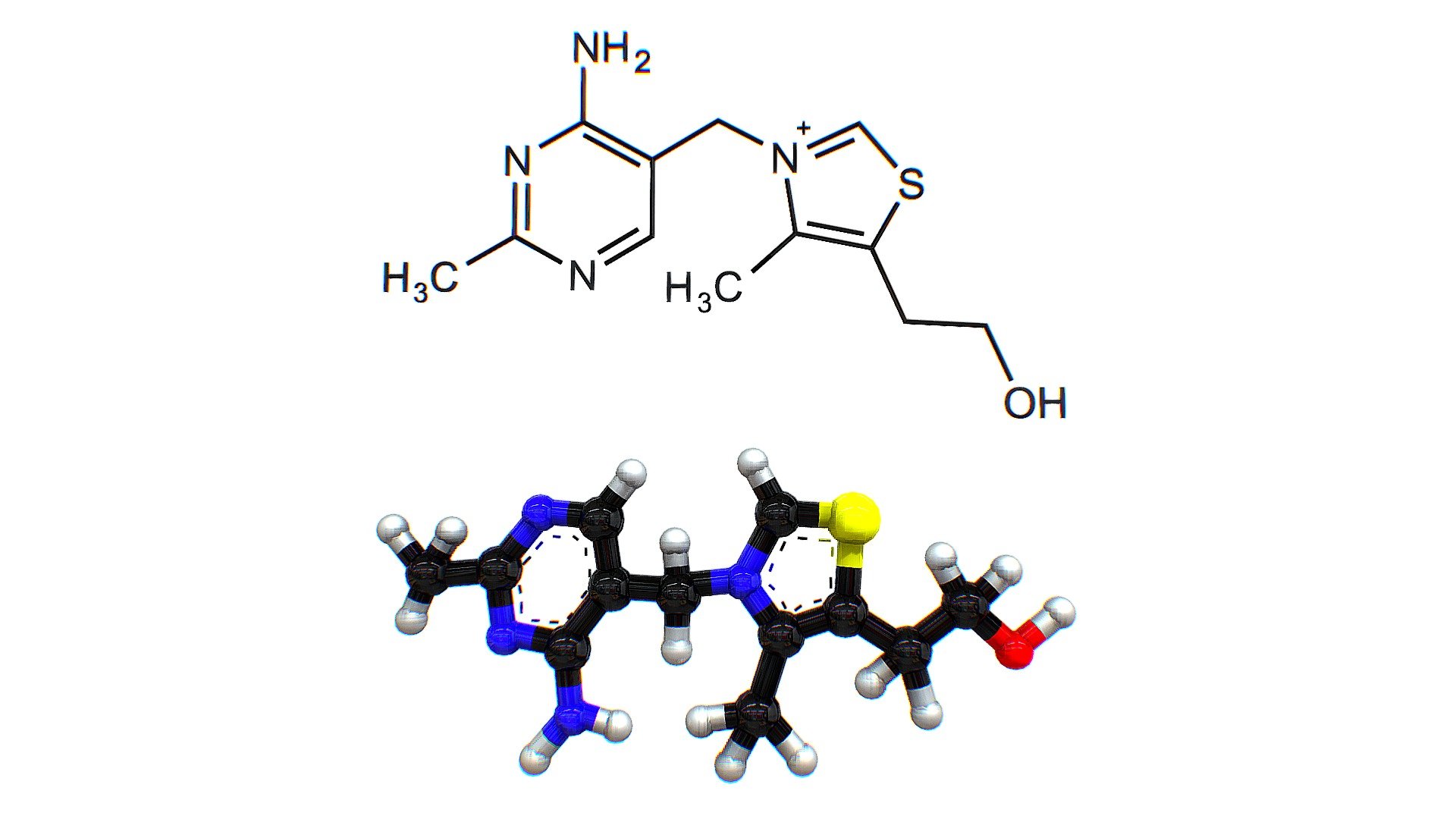 Vitamin B1 - Download Free 3D model by arloopa [39cf080] - Sketchfab