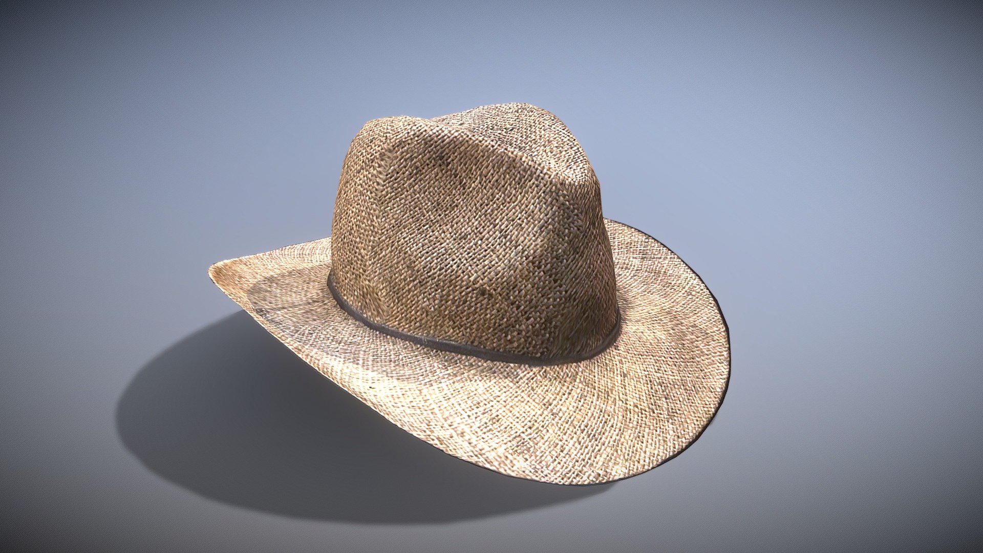 My hat - Download Free 3D model by Dawnstar-Chronicles [39e18ee ...