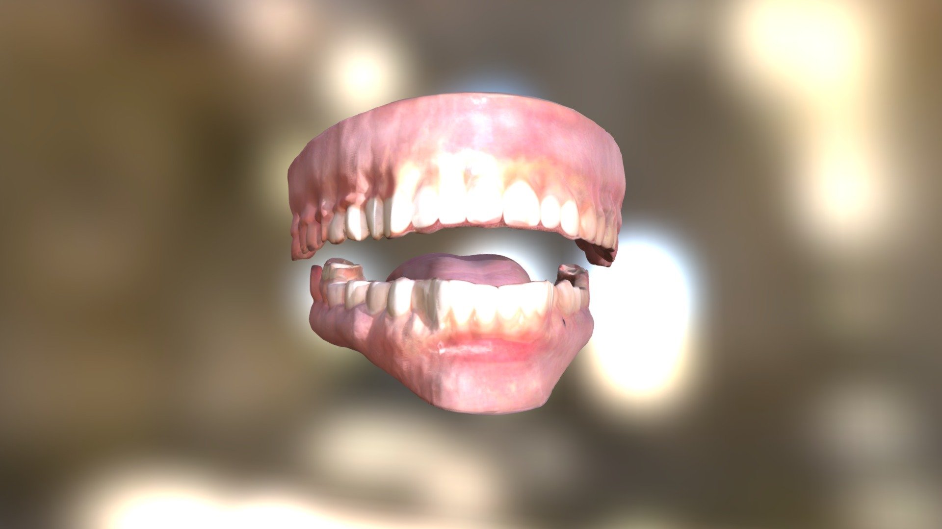 Realistic Human Teeth - Buy Royalty Free 3D model by Inventive World ...