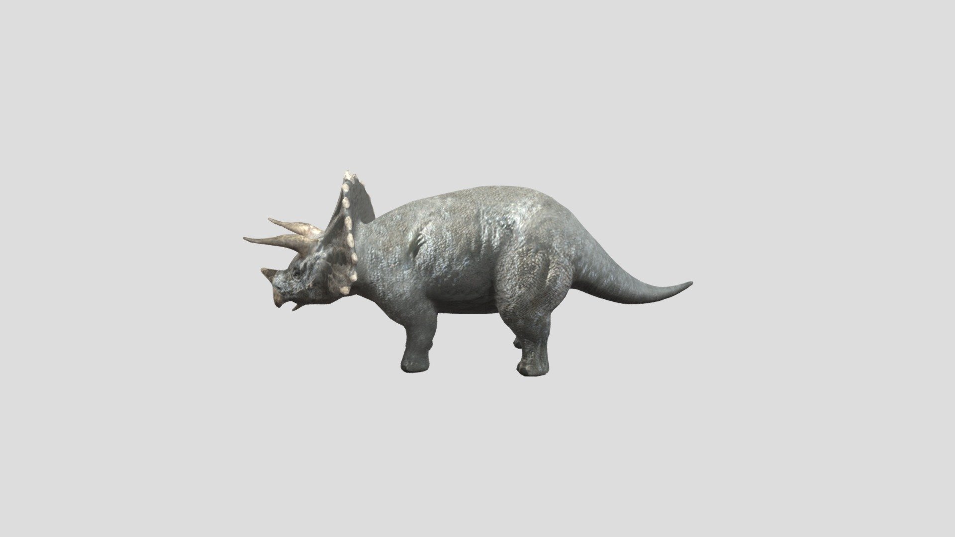 Triceratops - 3D model by Giang Model 3D (@giangdragon6996) [39ea7fe] - Sketchfab