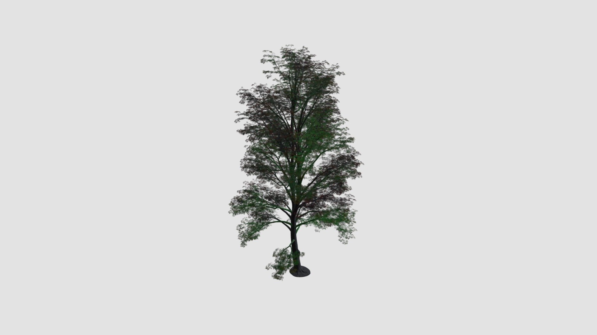 Tree - Buy Royalty Free 3D model by Evermotion [39f377e] - Sketchfab Store
