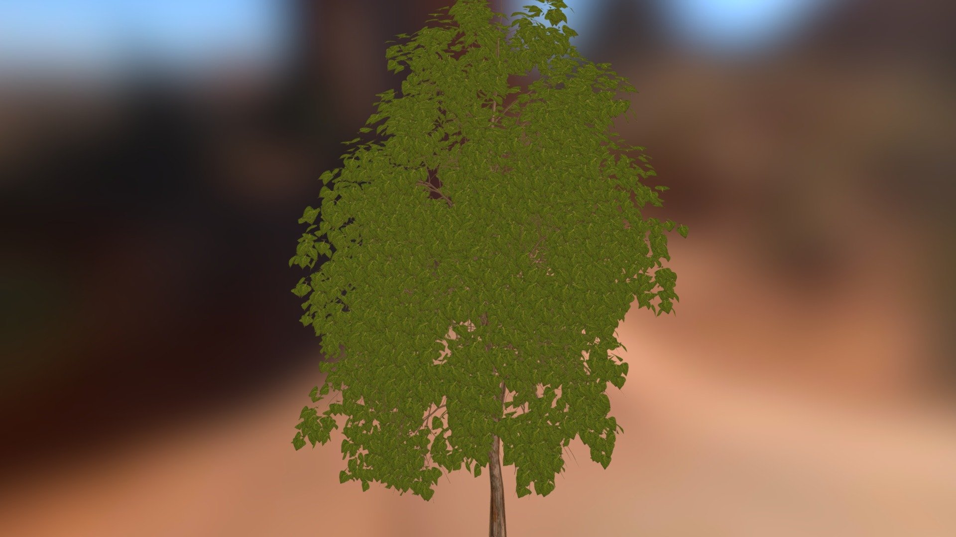 Oak_Tree - 3D model by wilsonrz099 [39f4c47] - Sketchfab