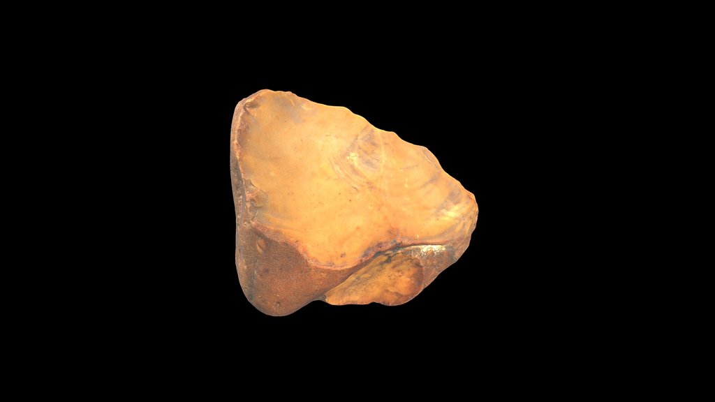 Human Evolution - A 3D model collection by MrHolmes-Orewa - Sketchfab