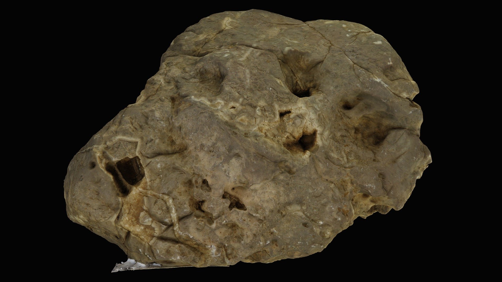 Limestone, Italy - Download Free 3D model by Sara Carena (@saracarena1 ...