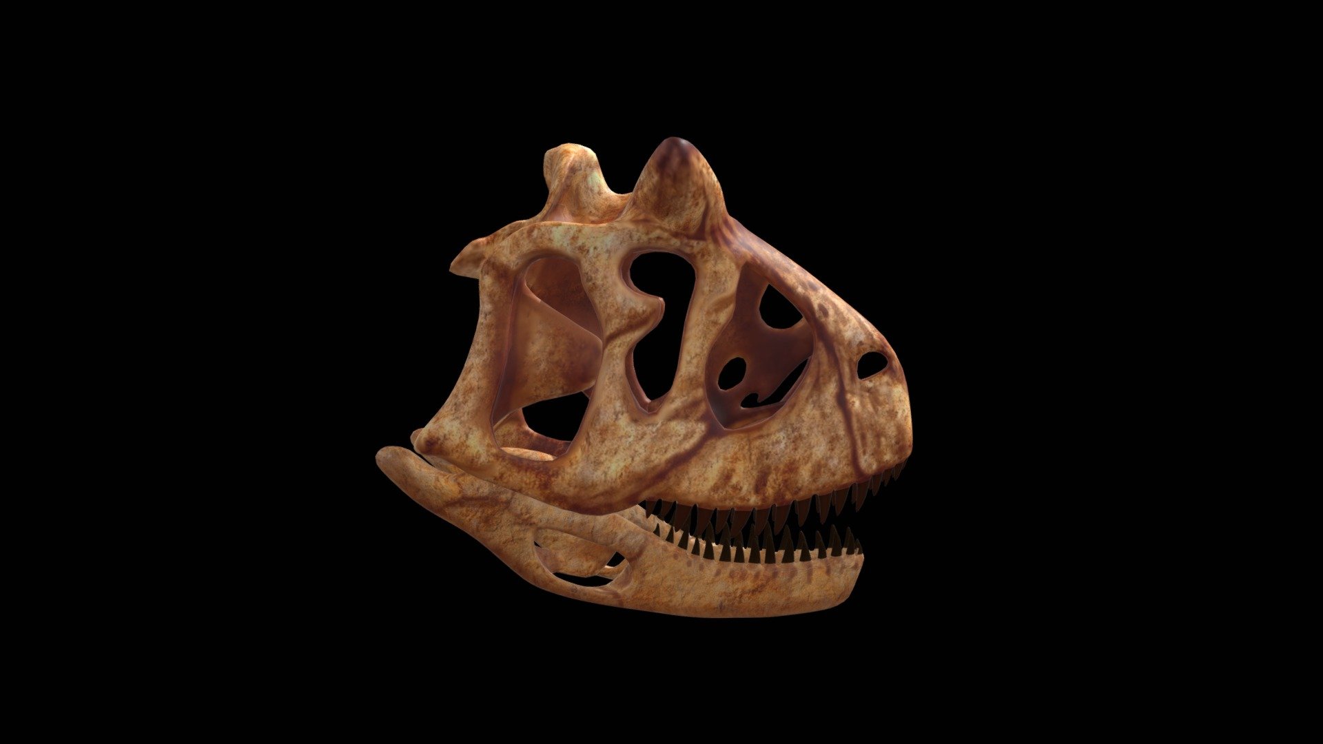 CRANEO_CARNOTAURUS - 3D model by Prehistopia Paleoart (@prehistopia ...