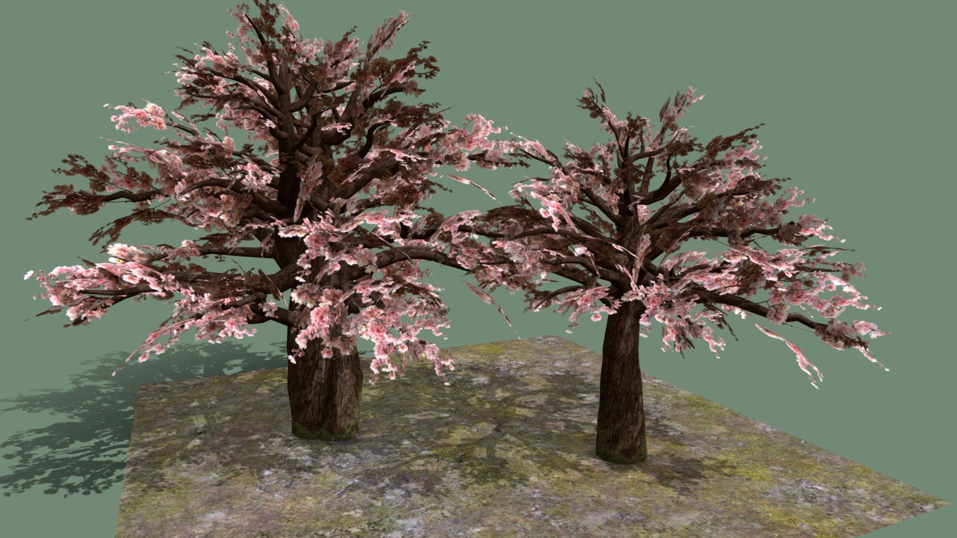 Sakura Trees - Download Free 3D model by Joan Tieu (@JoanTieu) [3a2d565 ...