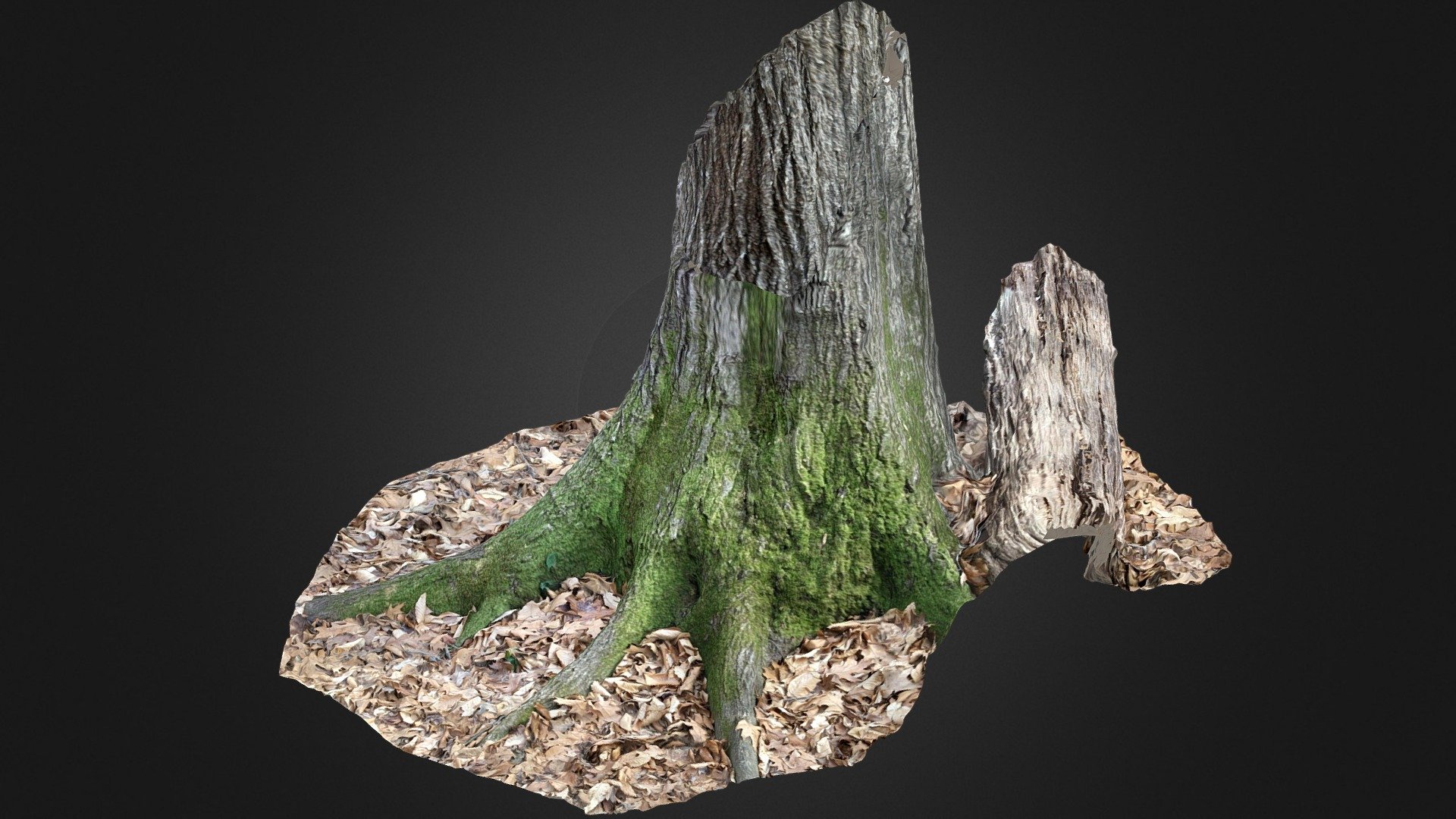 Mossy Tree Trunk - Download Free 3D model by Terrie Simmons-Ehrhardt ...