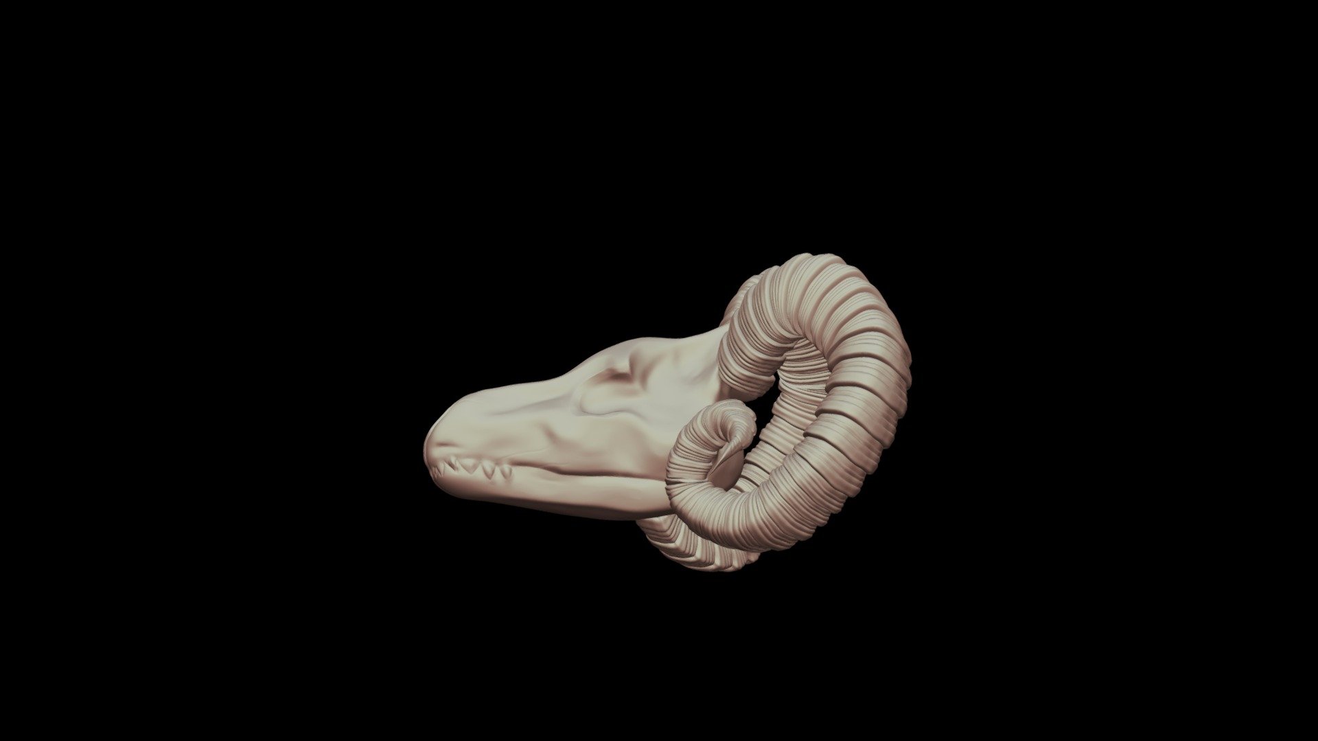 Horn - 3D model by rick.santos3d [3a338ac] - Sketchfab