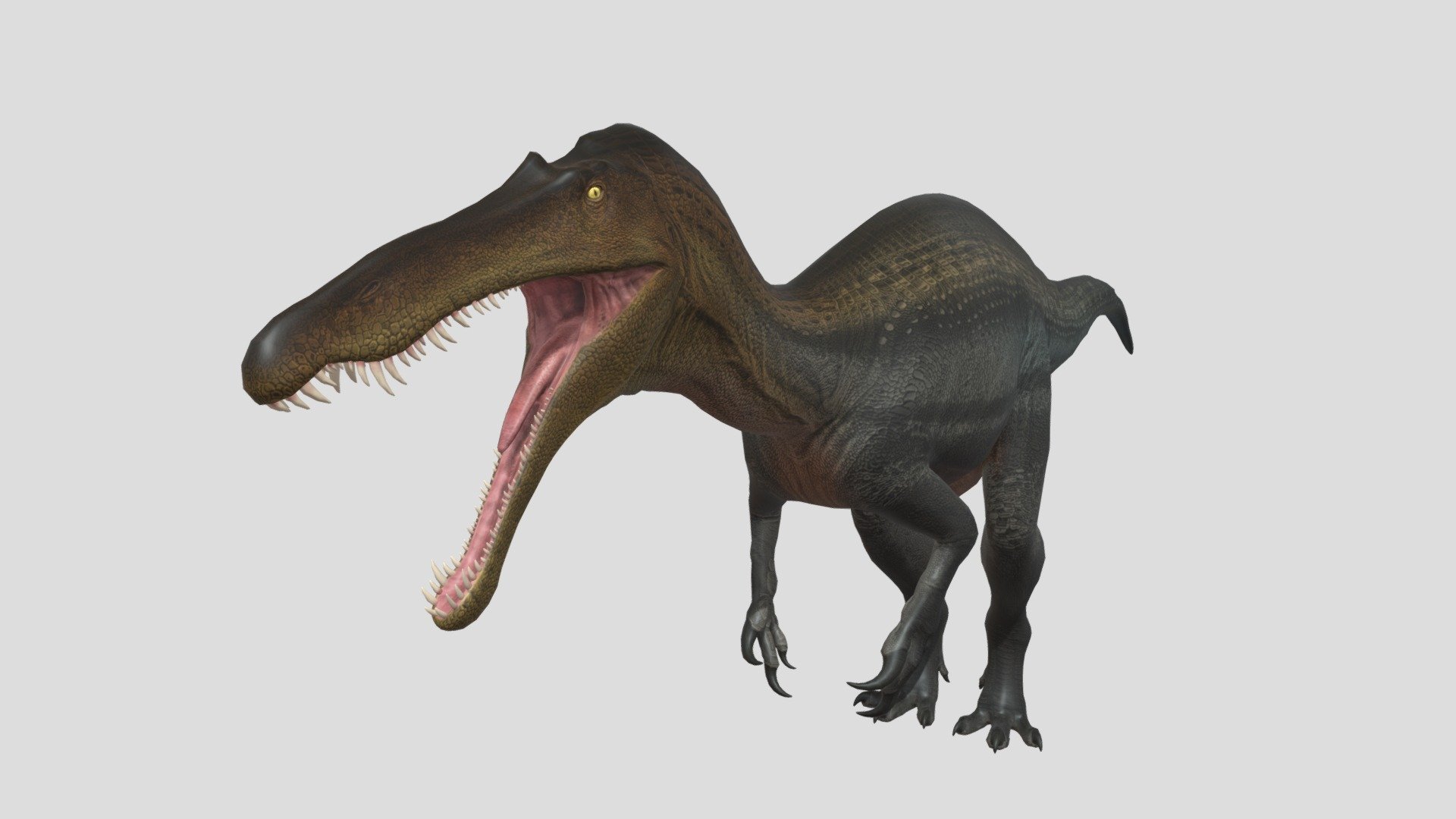 Baryonyx - Download Free 3D model by Modbuff (@CGreature) [3a38b64 ...