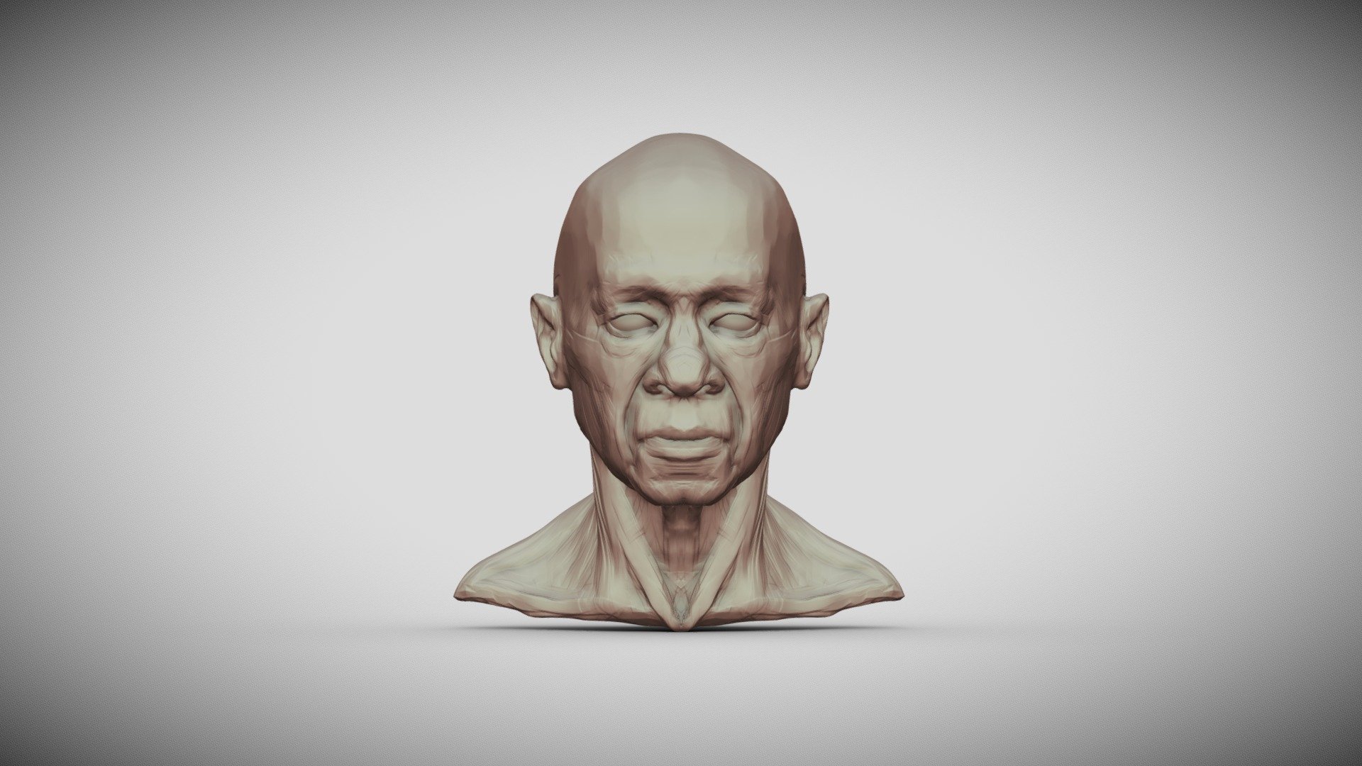 Head Practice 2 - 3D model by Aronelius (@stefanicemanuel) [3a4a72e ...