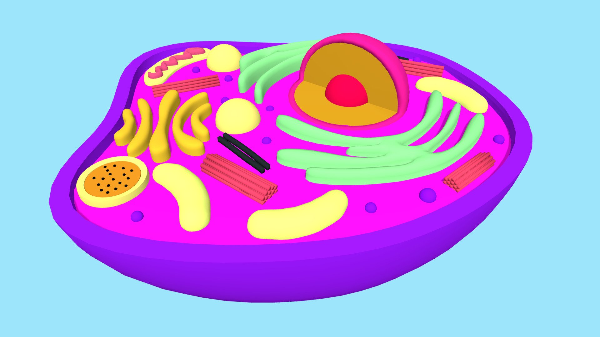 Eukaryotic Cell Download Free 3D Model By Aitordsgn 3a4a786 Sketchfab