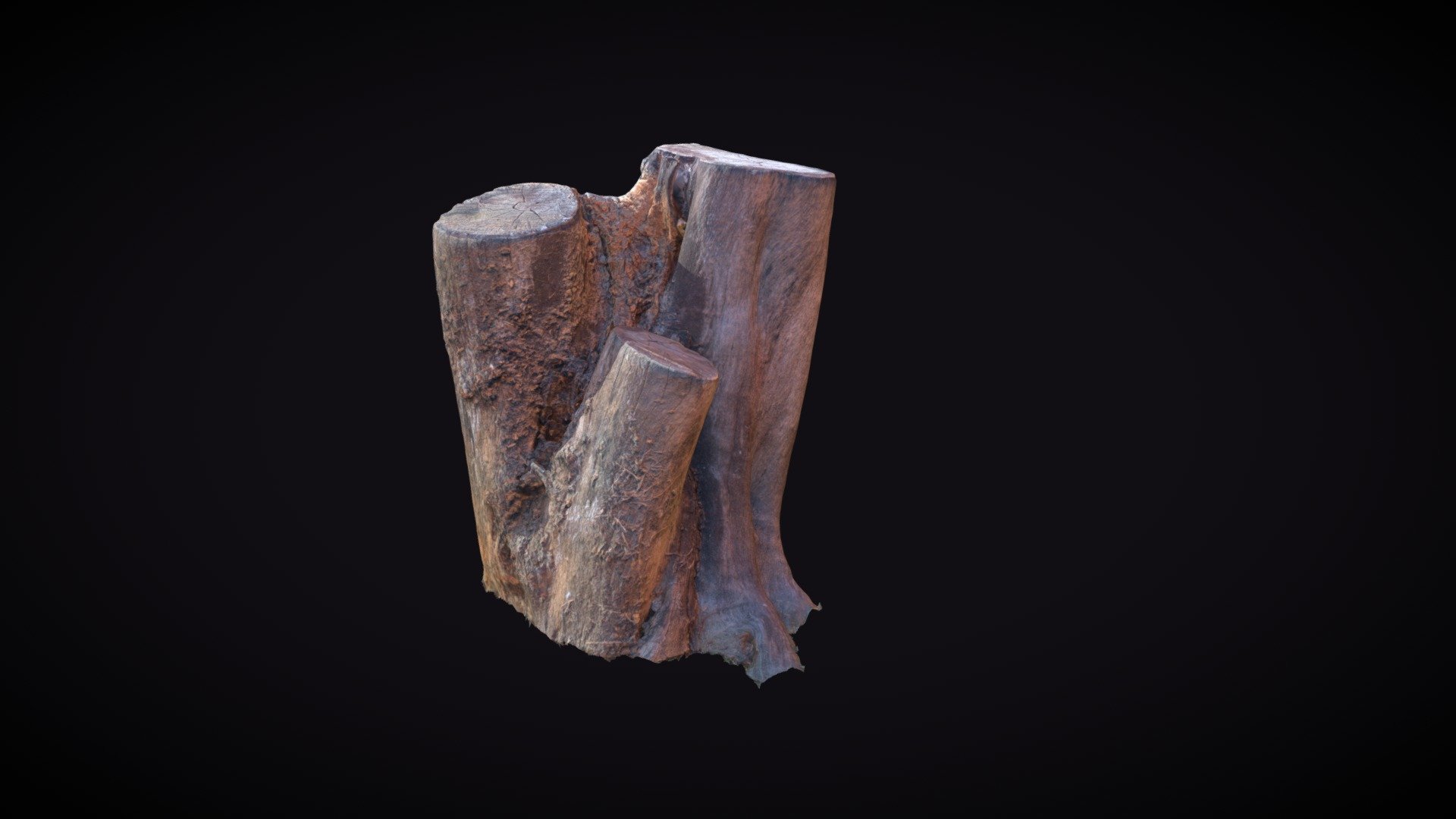 Tree trunk - 3D model by raguramkgr (@ragukgr) [3a4cd1d] - Sketchfab