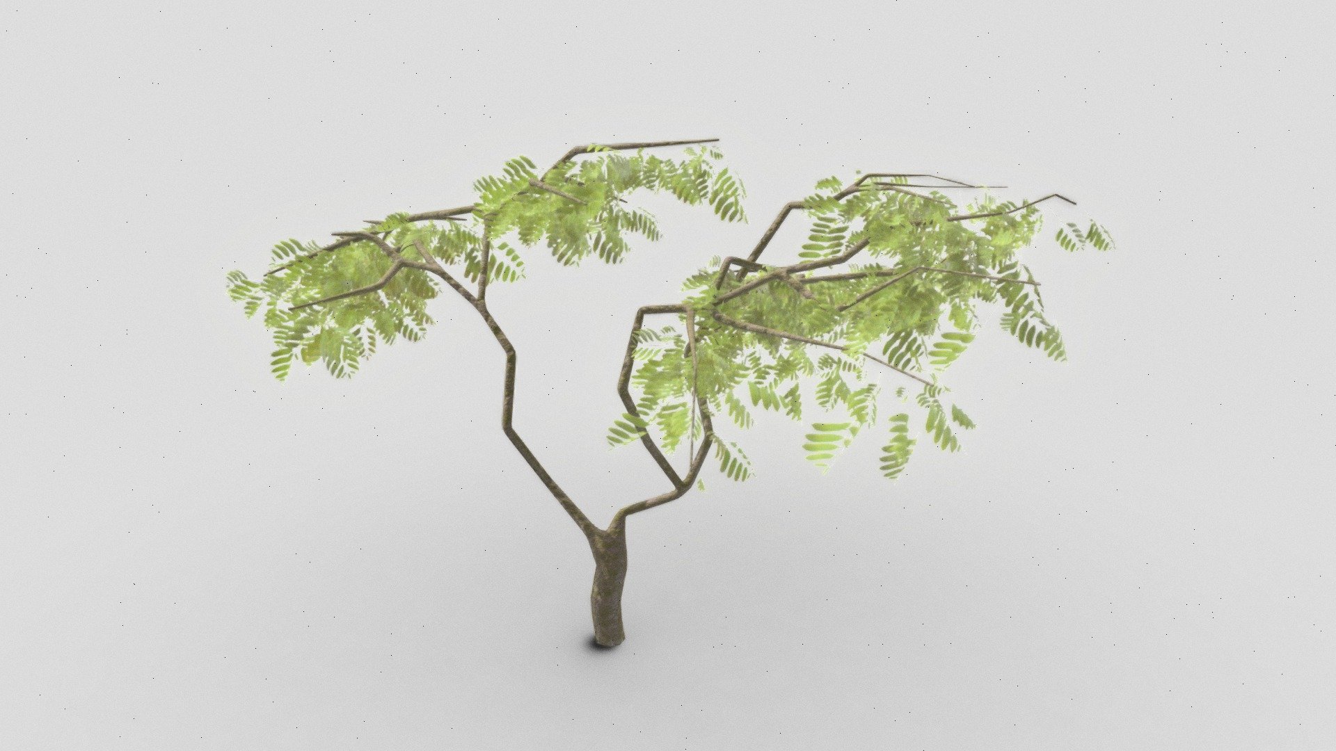 tree.simple.003 - Download Free 3D model by c.gleison [3a53f90] - Sketchfab