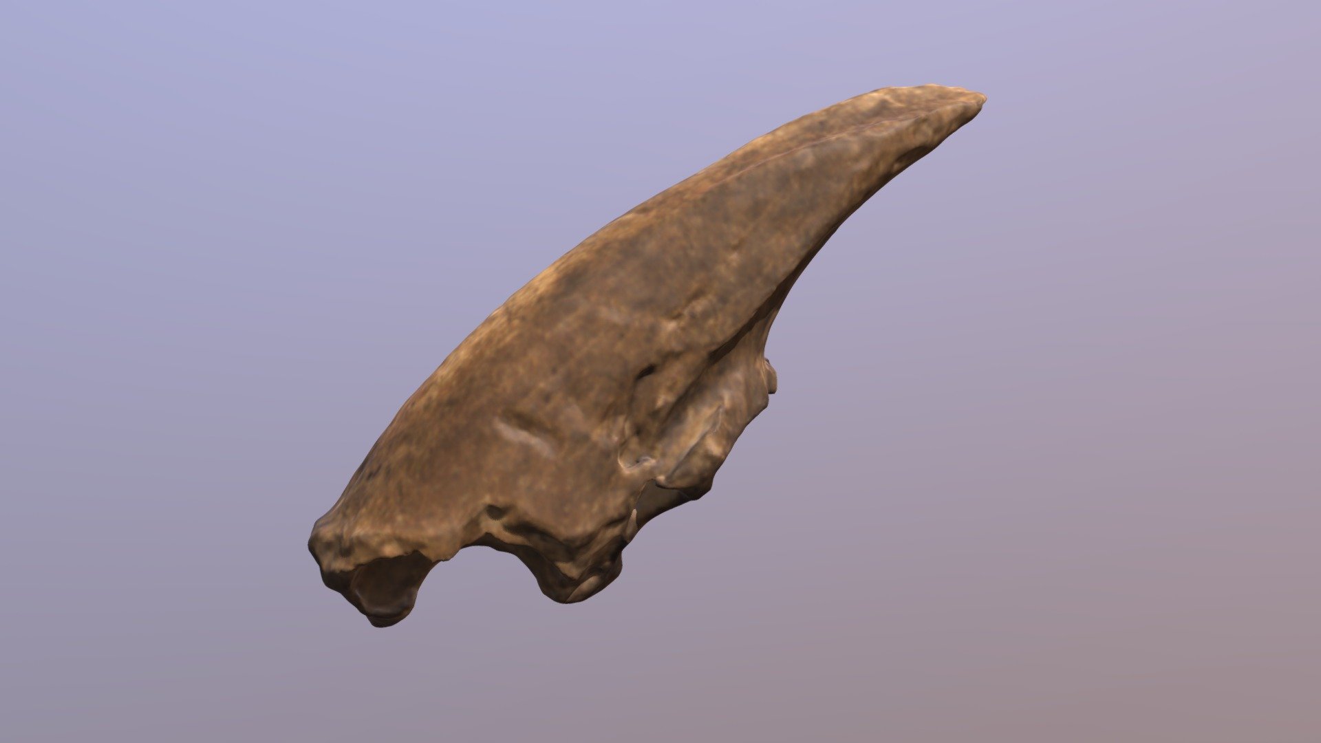 V3859 Giant Ground Sloth Claw (VCU_3D_3739) - Download Free 3D model by ...