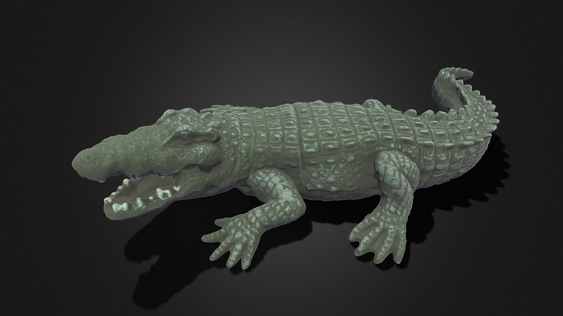 Crocodile - 3D model by Danhefetz [3a5dd82] - Sketchfab