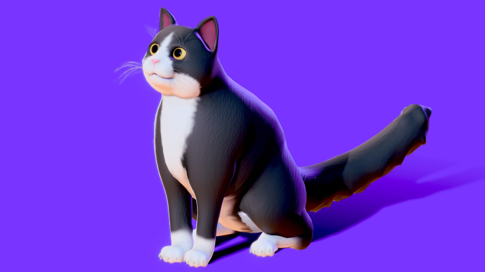 Low Poly - Stylized cats - Bicolor Cat - Buy Royalty Free 3D model by ...