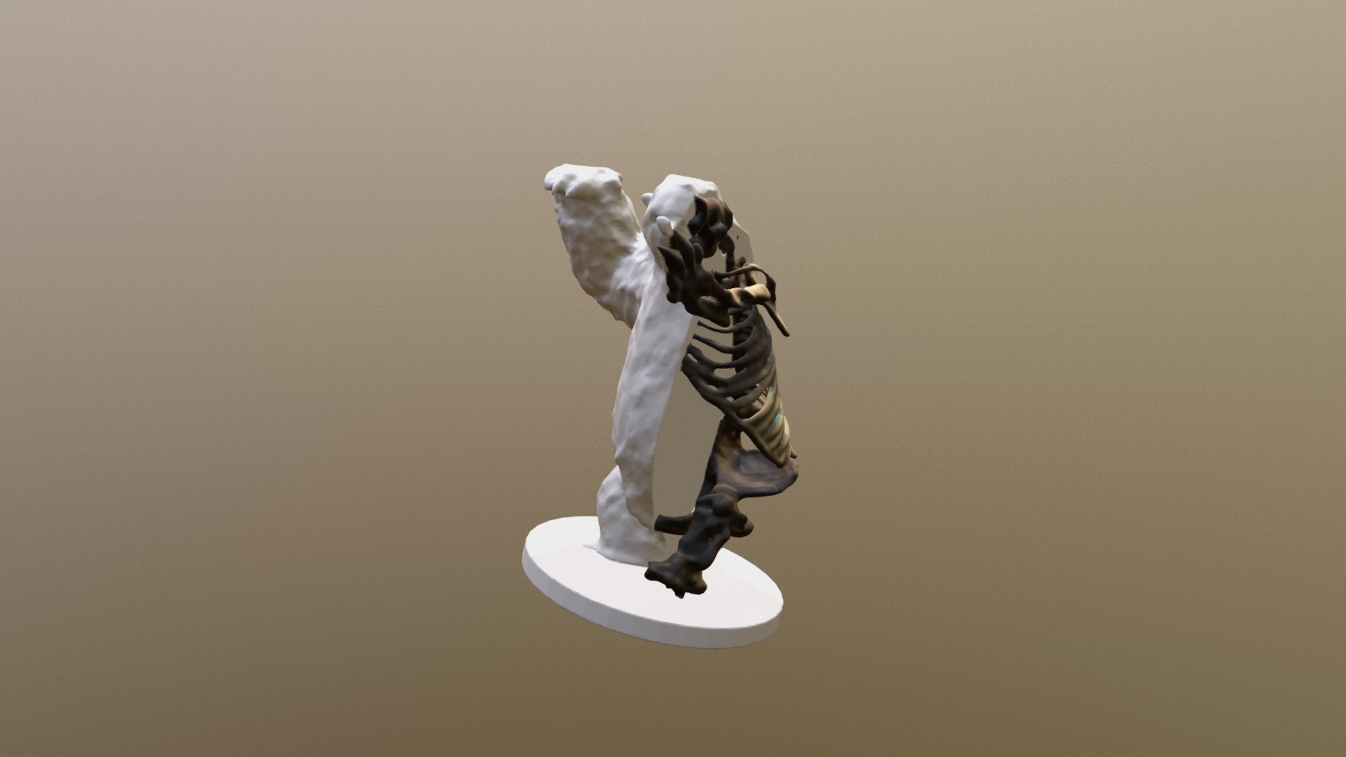 Giant Ground Sloth Recreation and Skeleton - 3D model by Virtual ...