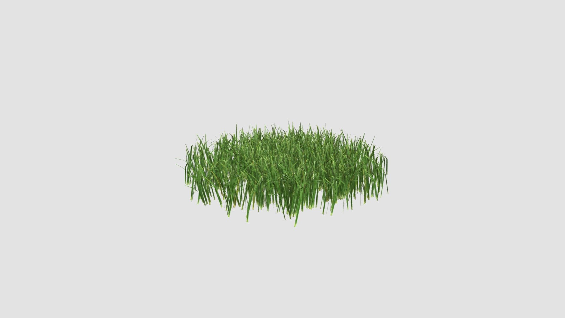 simple grass medium - Buy Royalty Free 3D model by Evermotion [3a67d4a ...