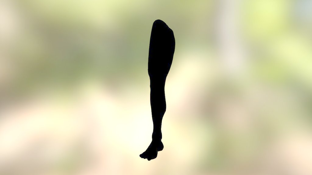 leg study - 3D model by grant.abbitt [3a6ad21] - Sketchfab