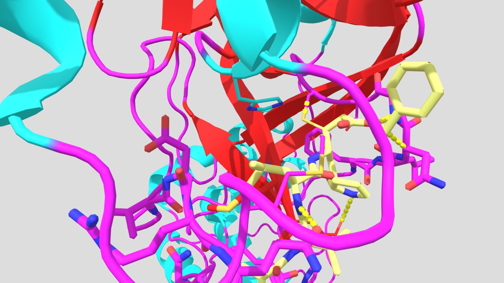 COVID19 protease and N3 inhibitor - 3D model by Libby.Belsham [3a6f5e5 ...