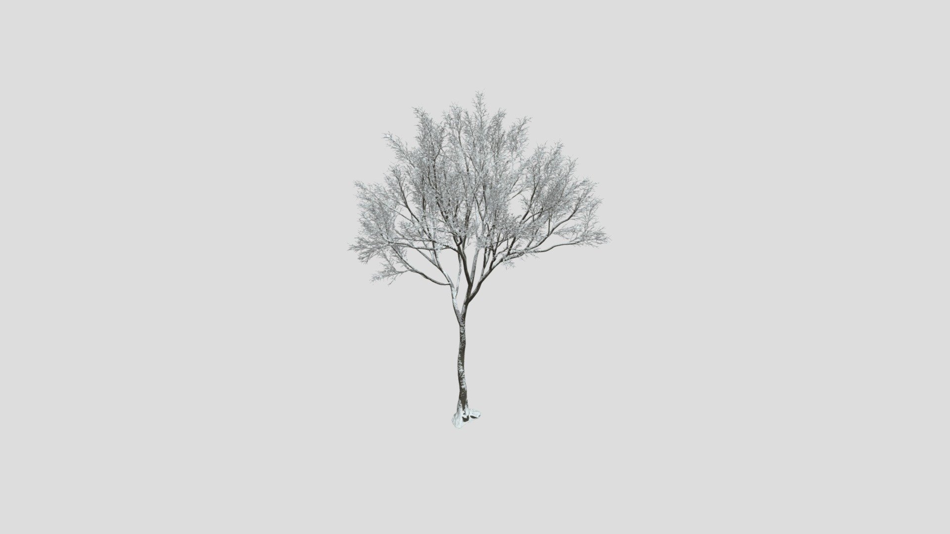 Maple 78 AM258 Archmodels - Buy Royalty Free 3D model by Evermotion ...