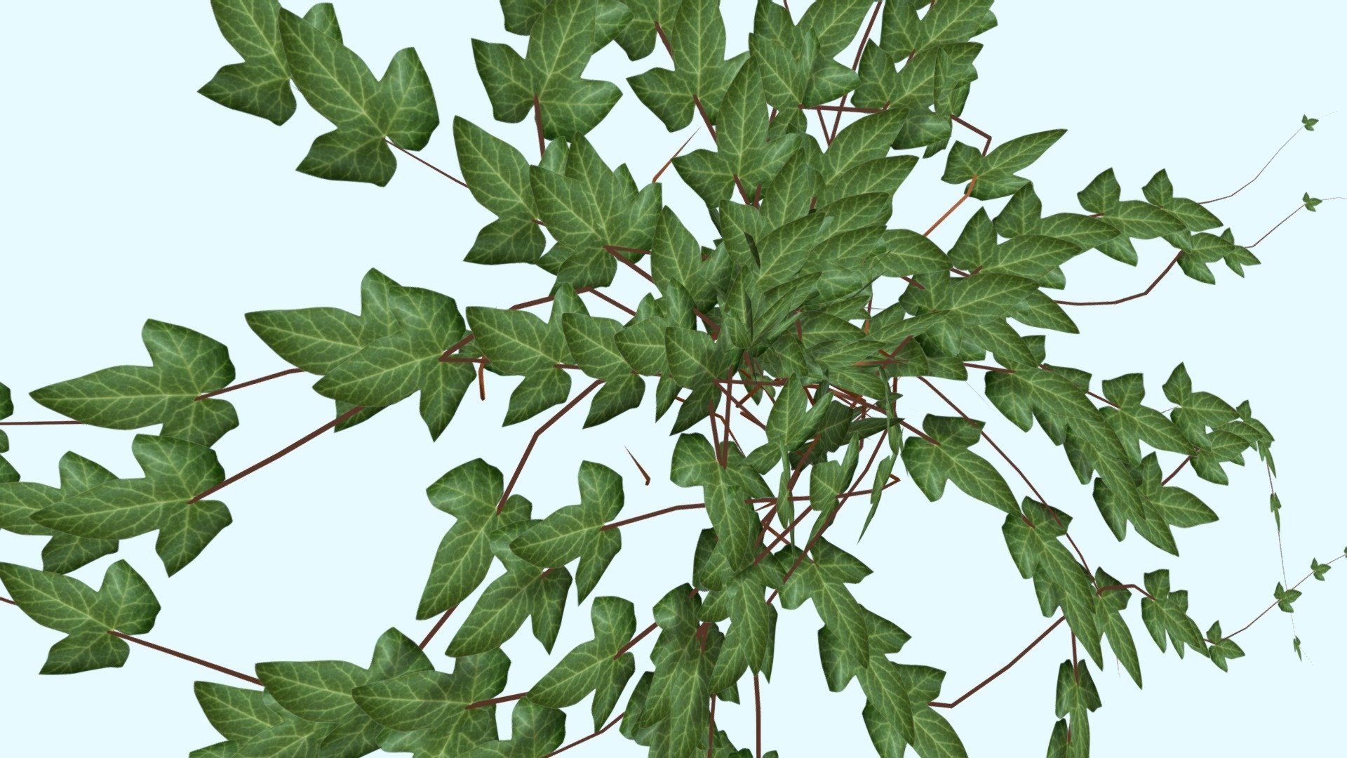 Growing Ivy Animated - Buy Royalty Free 3D model by John Doe ...