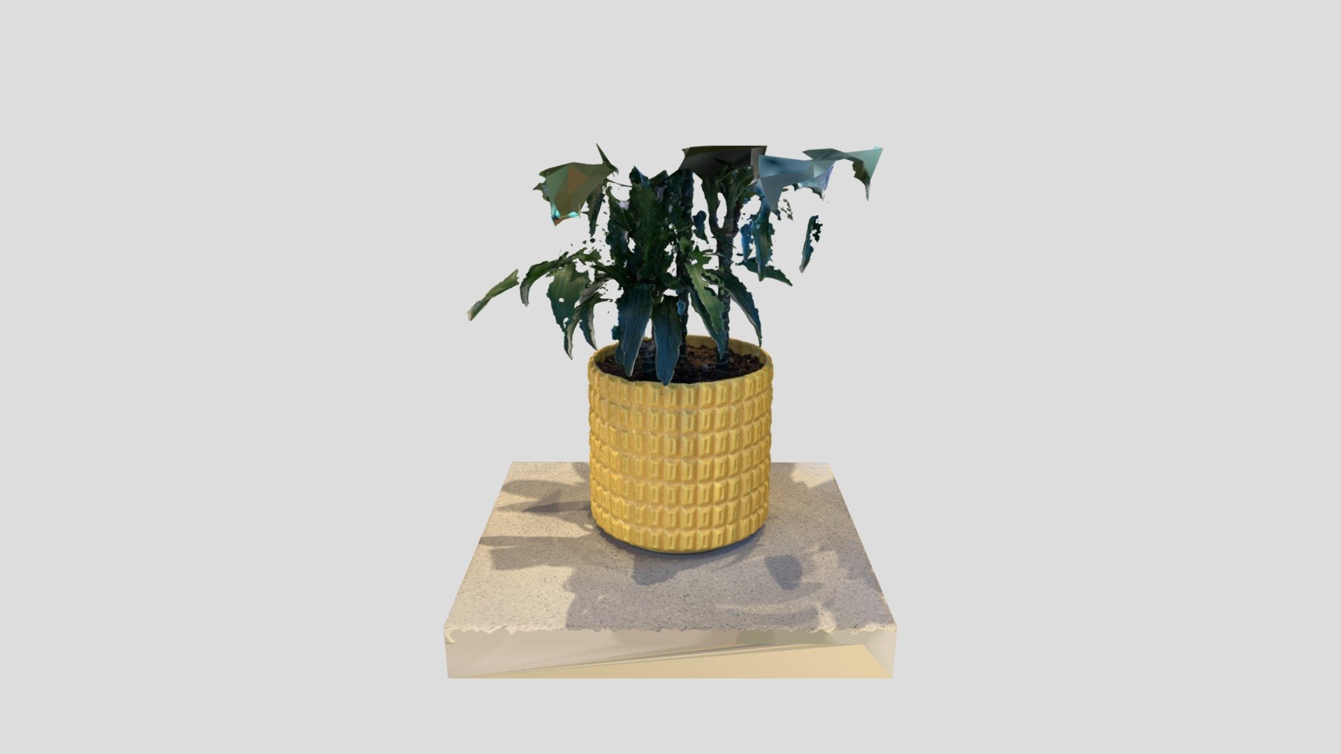 Flower pot - Download Free 3D model by napthemax [3a7e990] - Sketchfab