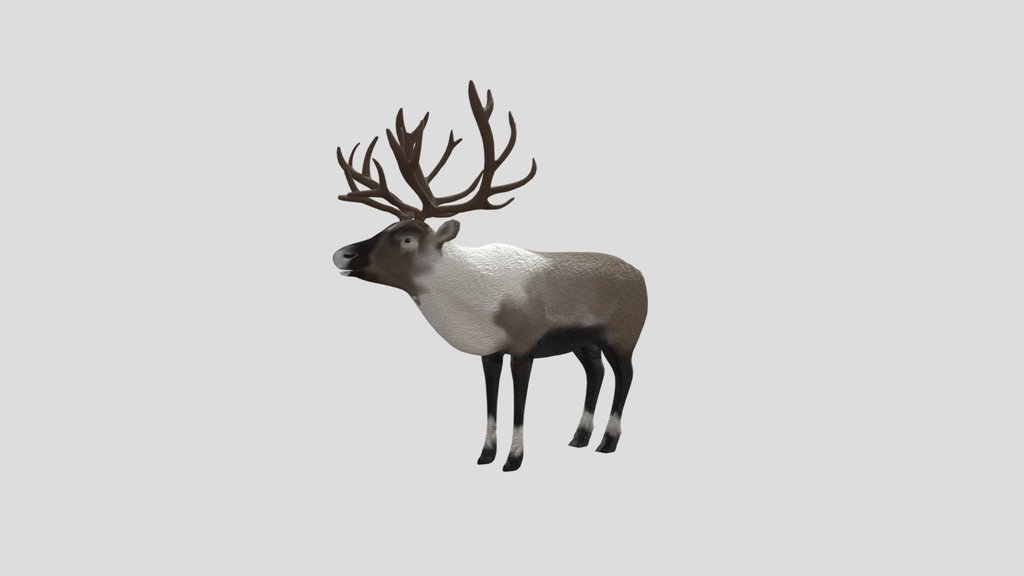 Caribou - A 3D model collection by shayroy - Sketchfab