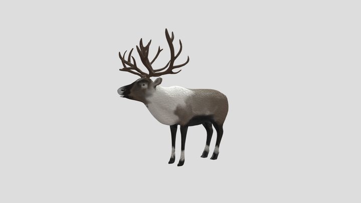 Caribou 3D models - Sketchfab