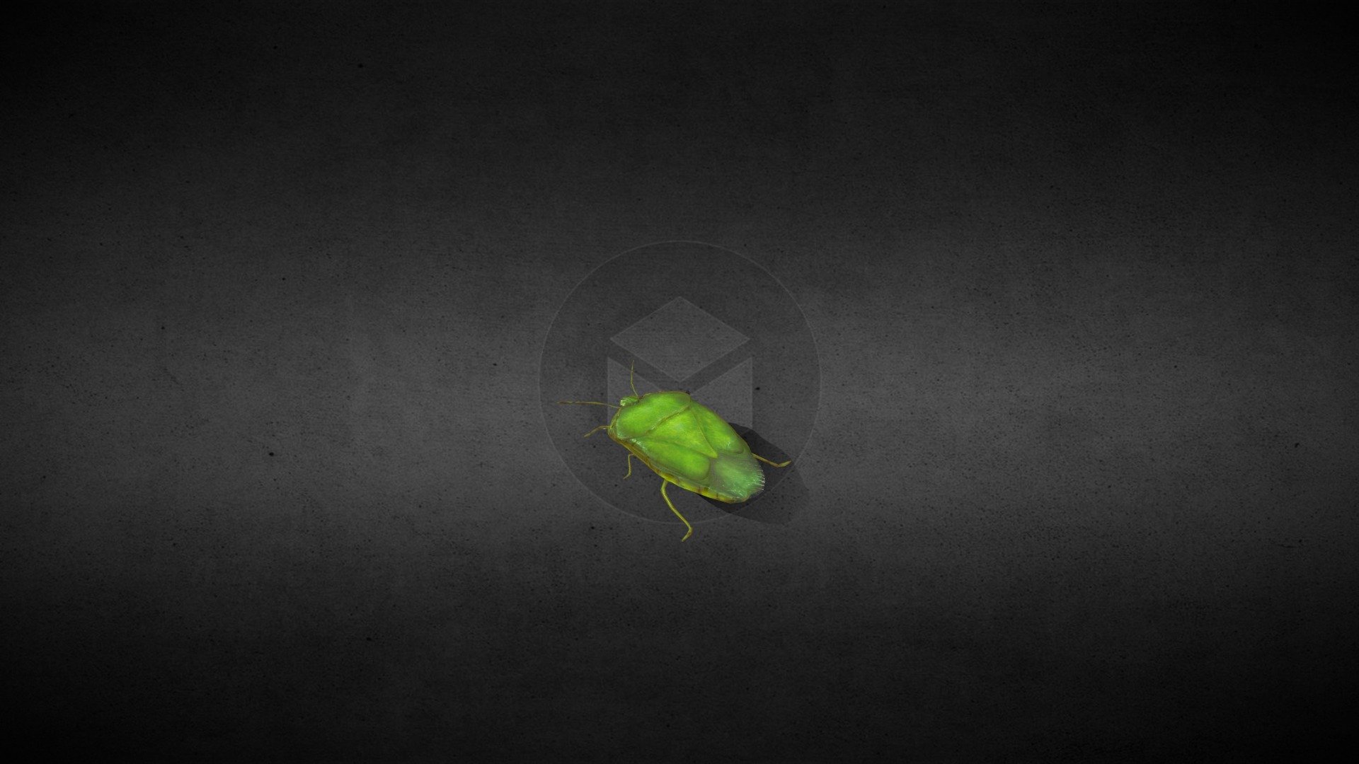 Stink bug - Download Free 3D model by Kimagure_Cookie (@k_cookie ...