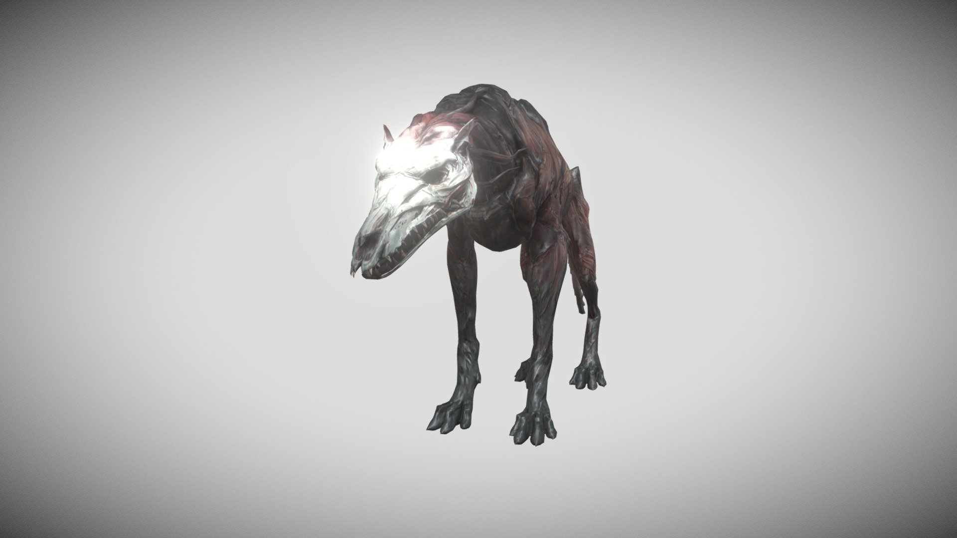 gravehound - Download Free 3D model by photon (that one larry ...