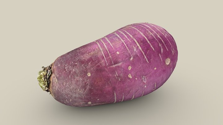 Radish 3D models - Sketchfab
