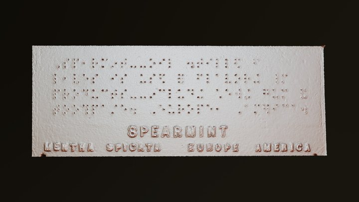 Braille 3D models - Sketchfab