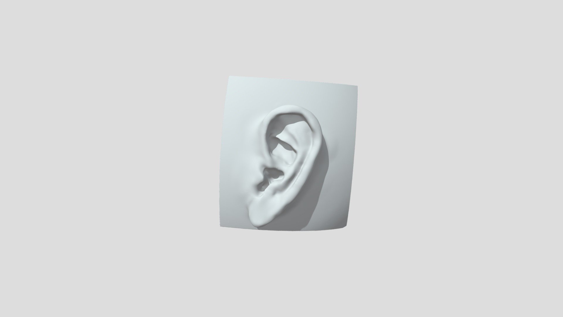 Ear sculpture - Download Free 3D model by AngieSalasMedina [3a95d1d ...