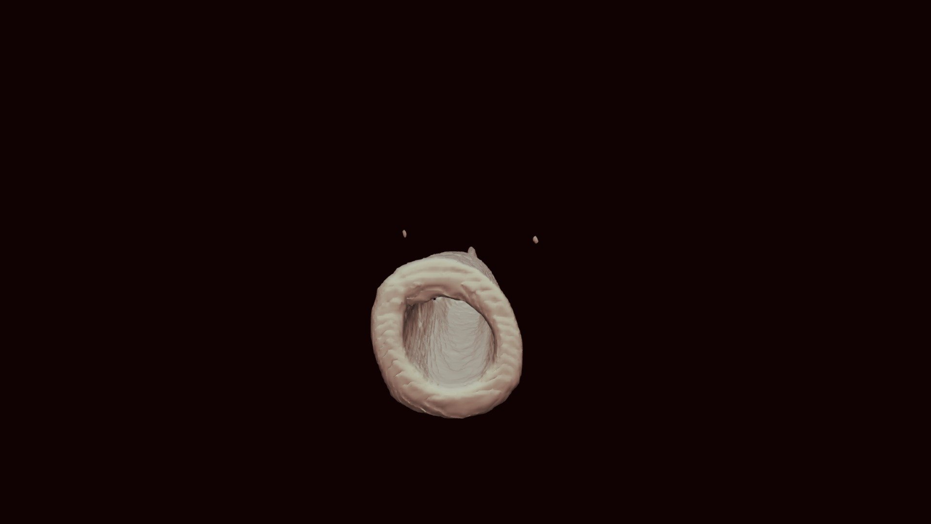 Rhabdonella elegans (Jörgensen 1924) - DATA - 3D model by TheRLab ...