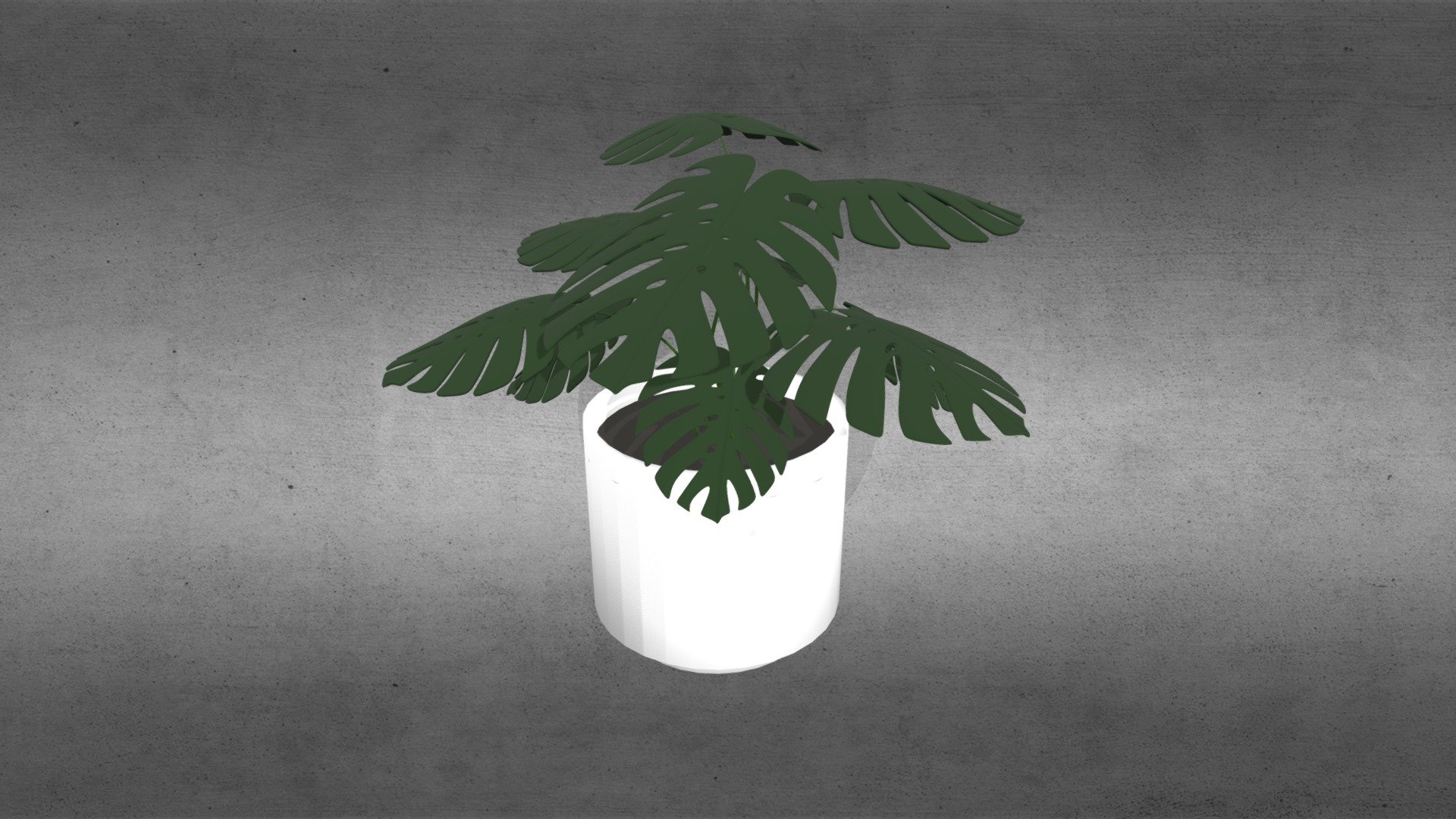 Monstera Plant - Download Free 3D model by kimkimmikmik (@ngungnging ...