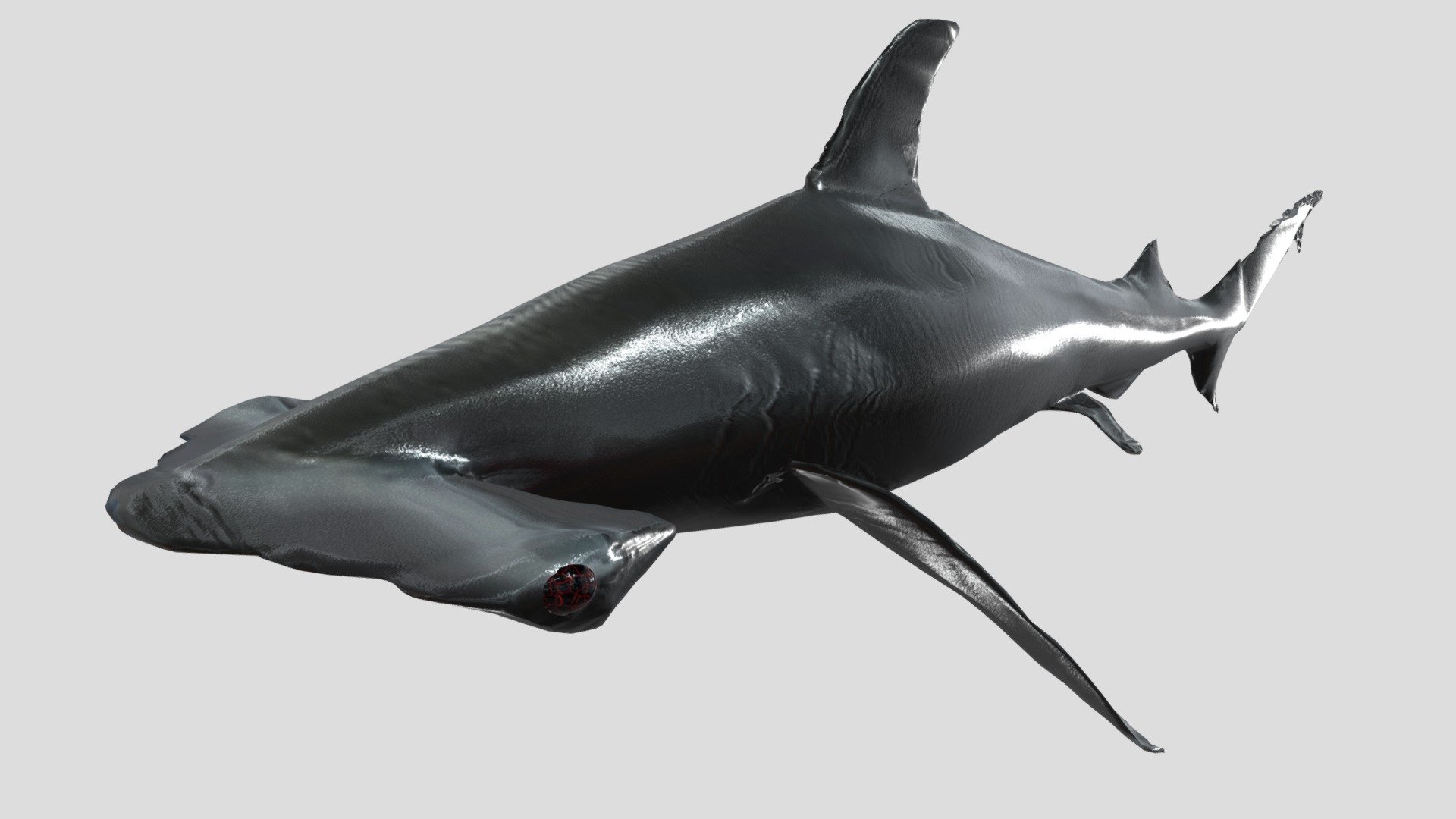 Hammerhead shark - 3D model by the9thearl [3ab3cd8] - Sketchfab