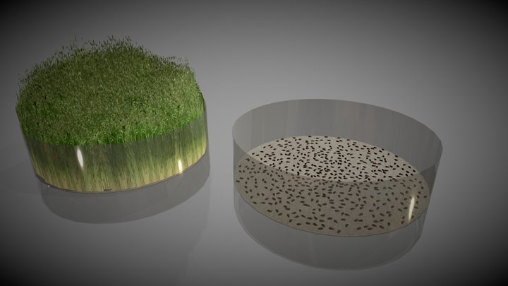 Cress 3D models - Sketchfab