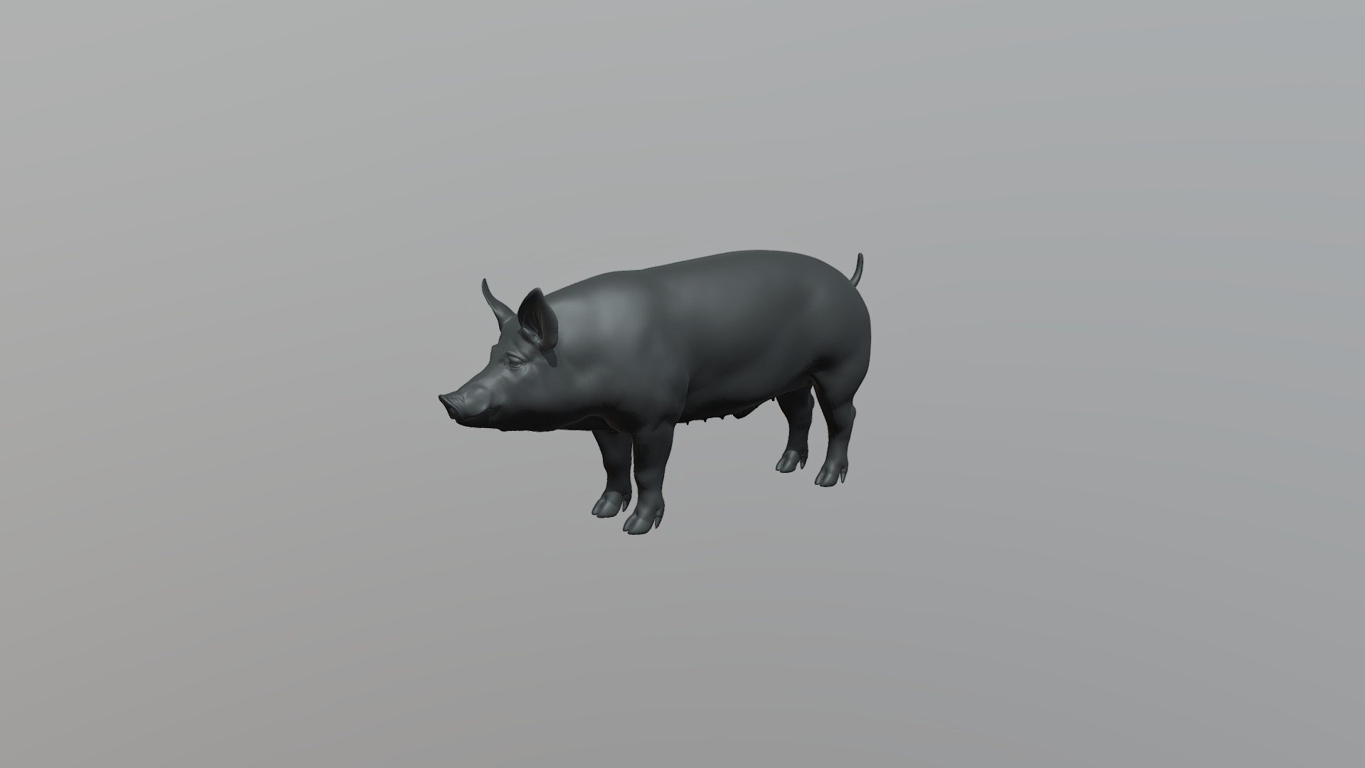Domestic Pig - male - Download Free 3D model by Noa Seller (@NoaSeller ...