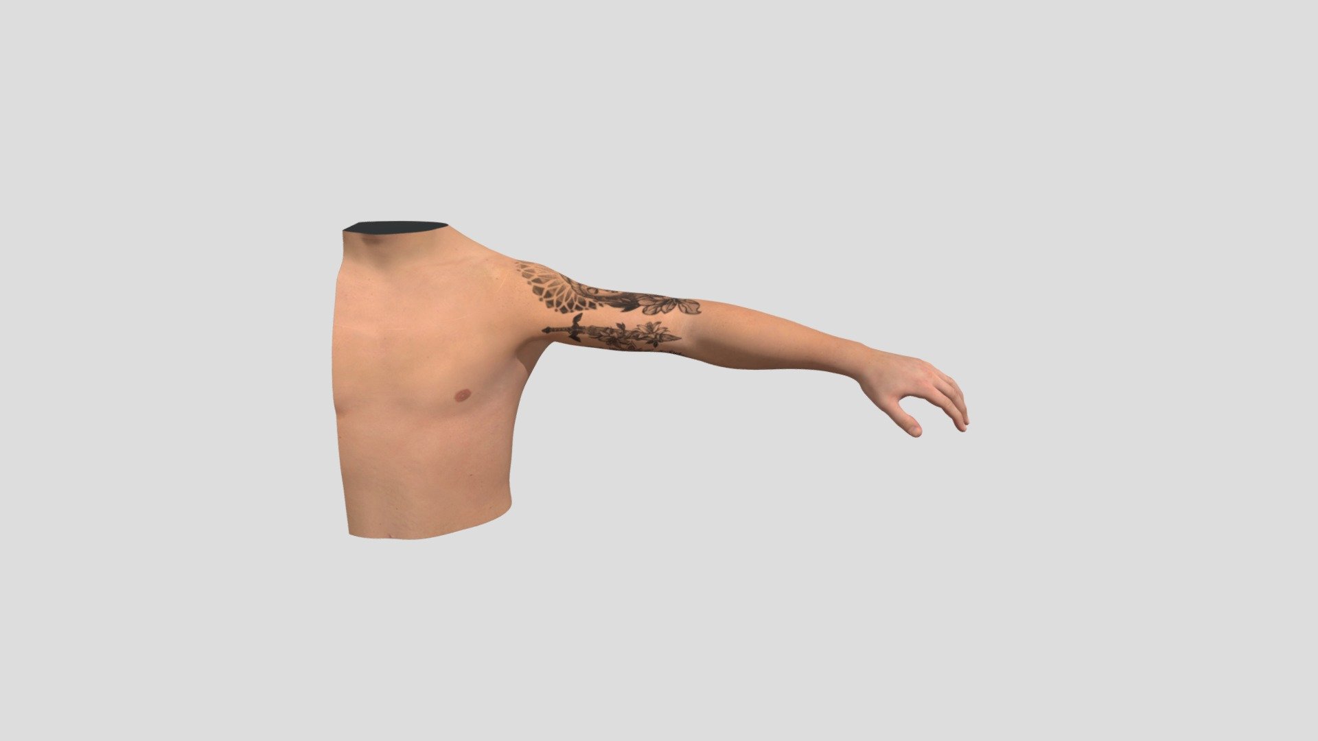 arm_half - 3D model by toddthornley18 [3abee1e] - Sketchfab