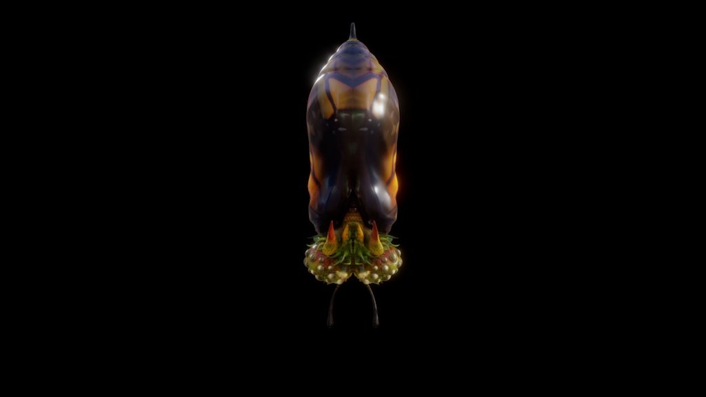 PUPA - 3D model by pahko [3ac4ec9] - Sketchfab