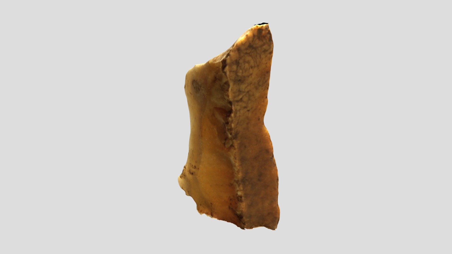 Flint - 3D model by Moira Blackmore (@moisa633) [3ac691e] - Sketchfab