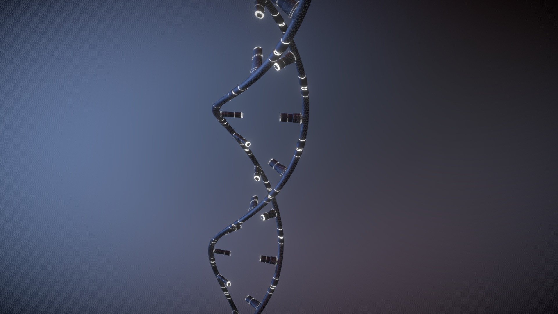 Dna - Buy Royalty Free 3D model by Yuliya (@rendergirl) [3ac7a38 ...