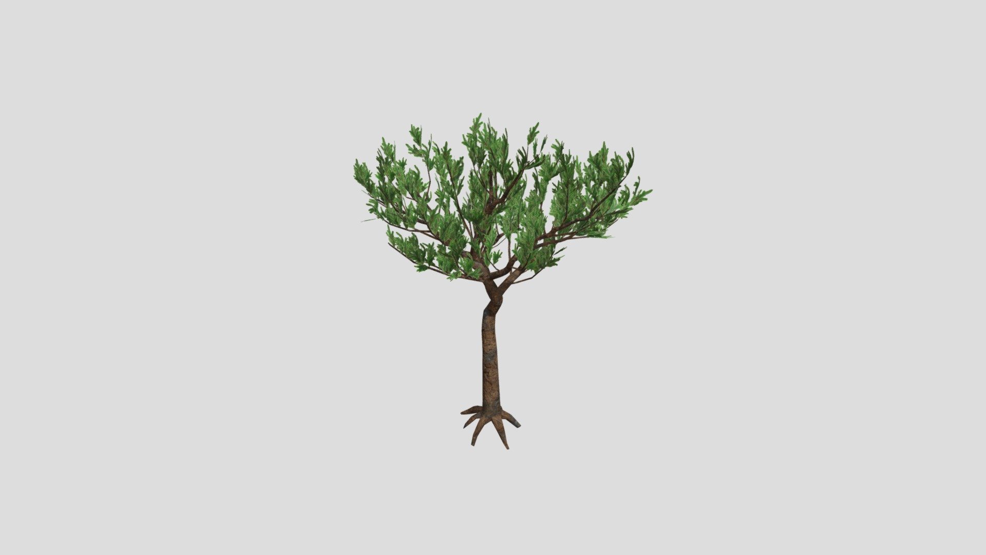 KCISA-수원화성행궁_소나무(Fine Tree) - Download Free 3D model by Korea Culture ...