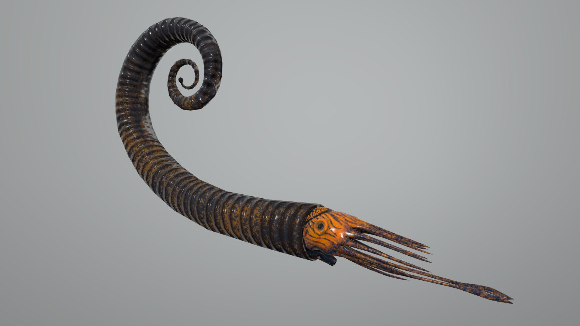 Ammonite - 3D model by Paleobiome [3acb50b] - Sketchfab